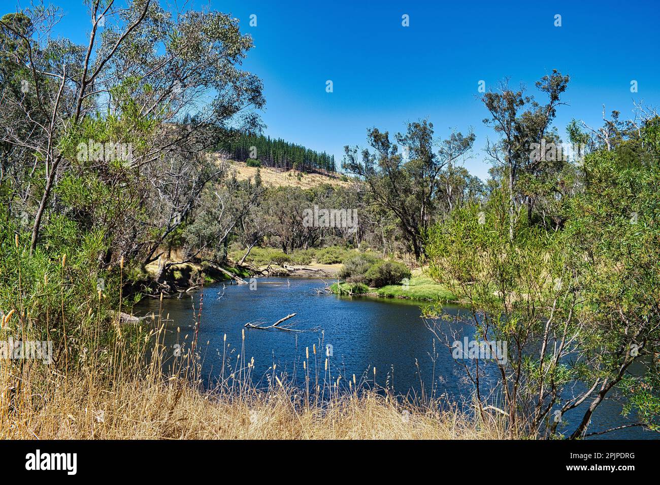 The Blackwood River flowing through the forest near Wrights Bridge in ...