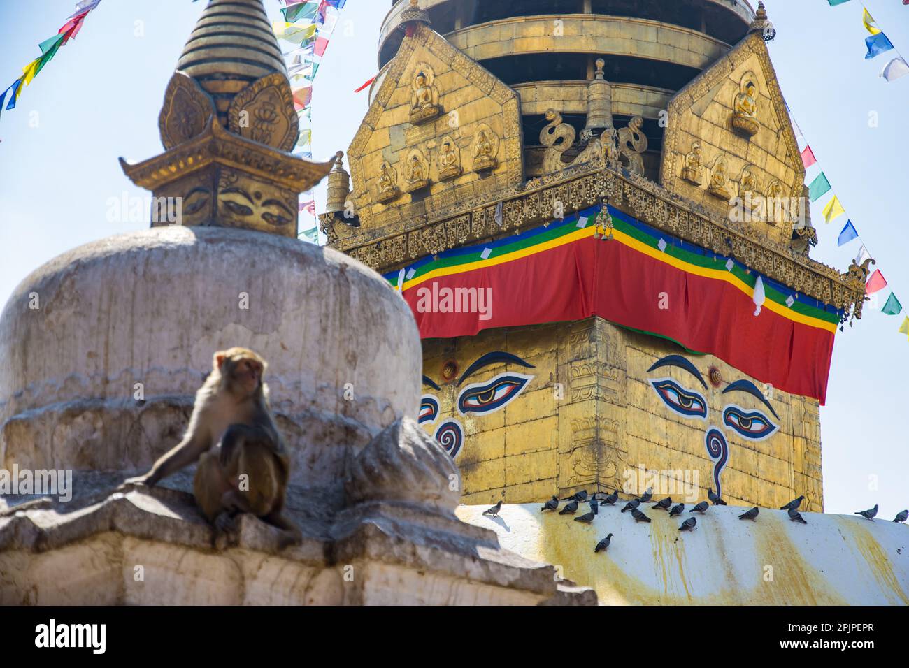 UNESCO World Heritage Site Swayambhunath Monkey Temple of Buddhists and ...