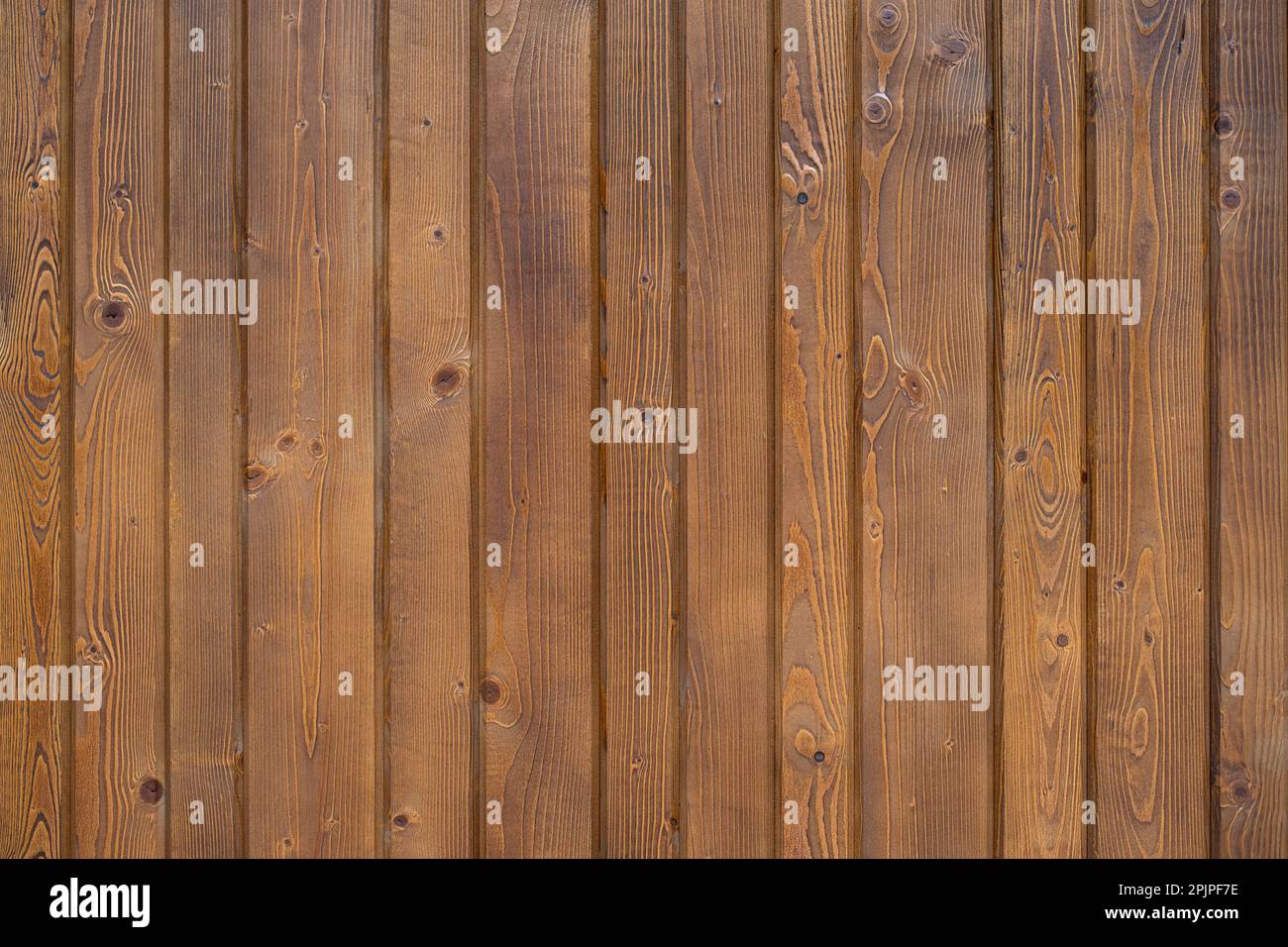 Wooden boards texture. Pine tree wood background, pine panels Stock ...