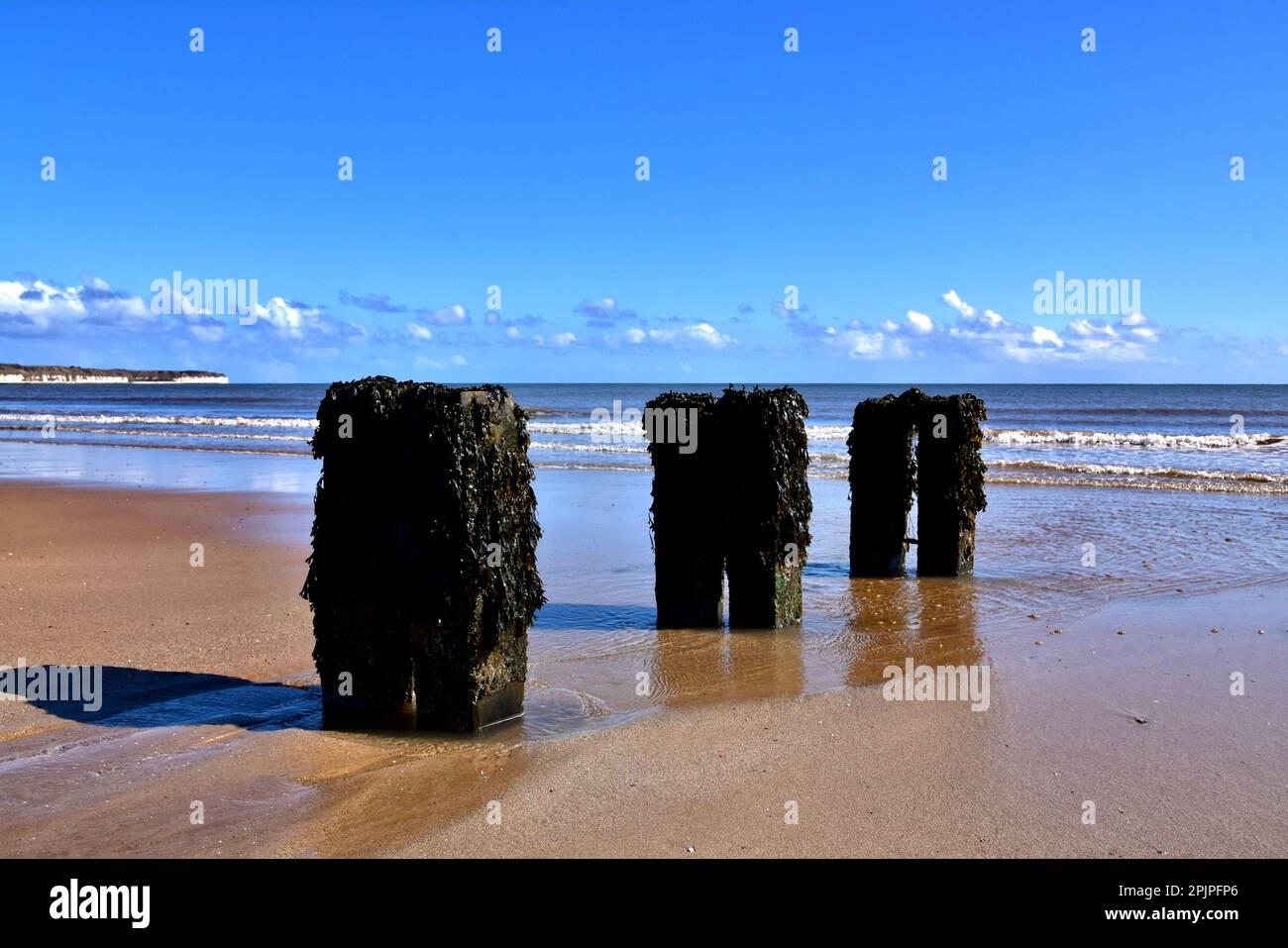 Old groynes hi-res stock photography and images - Alamy