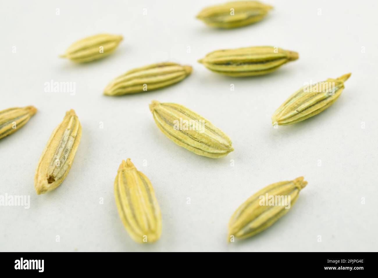 Closuep of fennel seeds on white background Stock Photo - Alamy