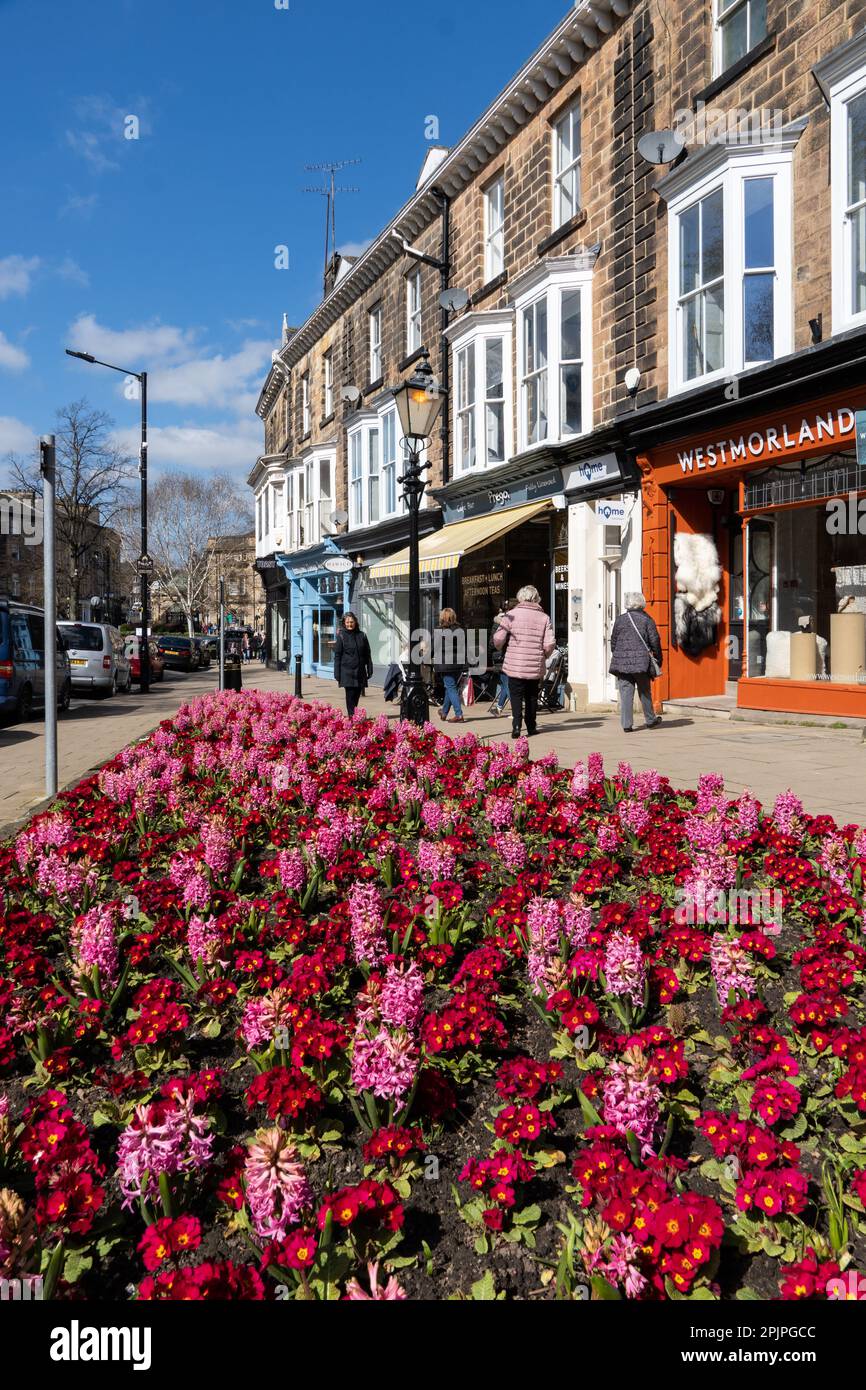 HARROGATE, UK - APRIL 3, 2023. Floral displays of colourful flowers in ...
