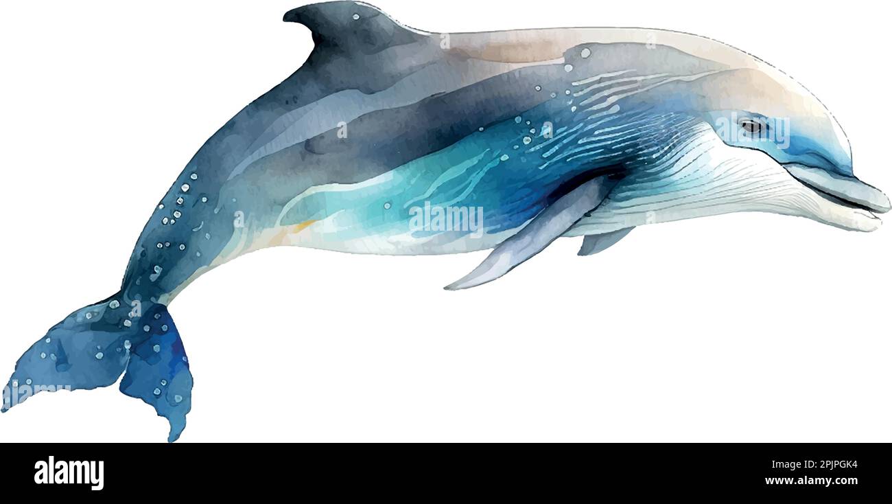 Watercolor dolphin Stock Vector Images - Alamy