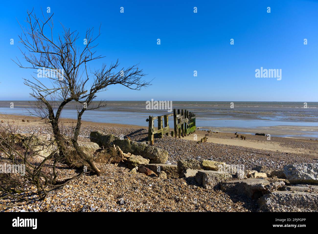 Wind sweeped tree hi-res stock photography and images - Alamy