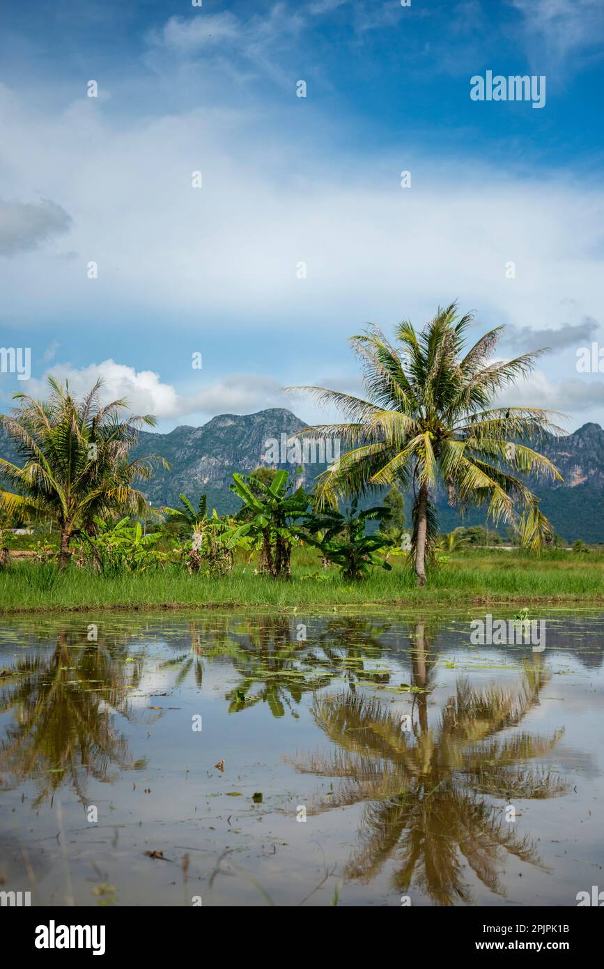 the Landscape and Fields near the Village of Kui Buri at the Hat Sam ...