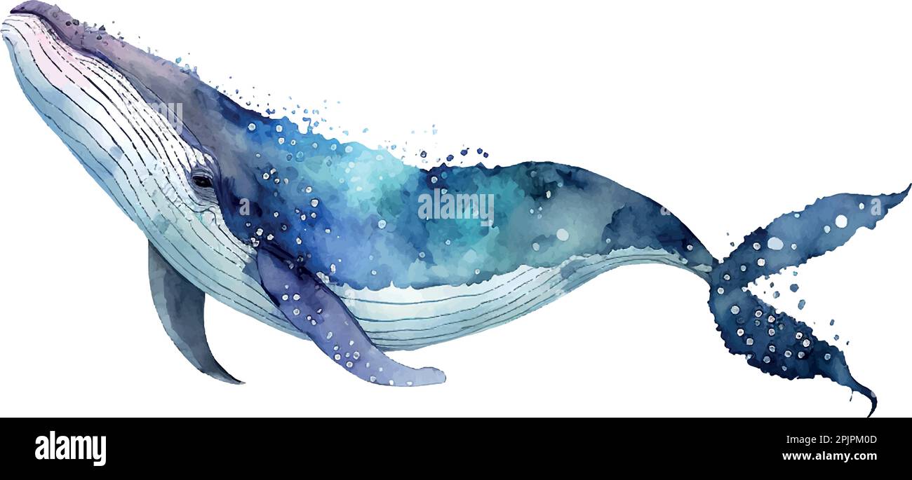 Blue whale vector art isolated on white background Ocean fauna Cartoon ...