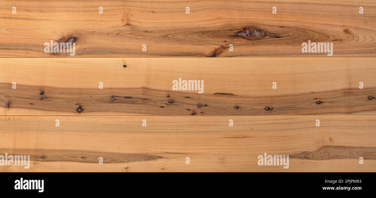 Walnut boards fit horizontally tightly to each other with a processed ...