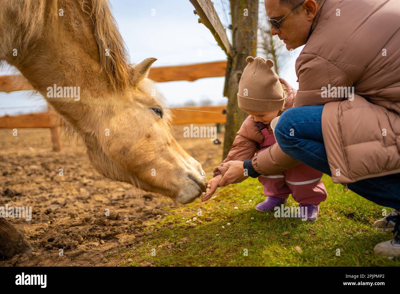 People Feeding Animals At The Zoo