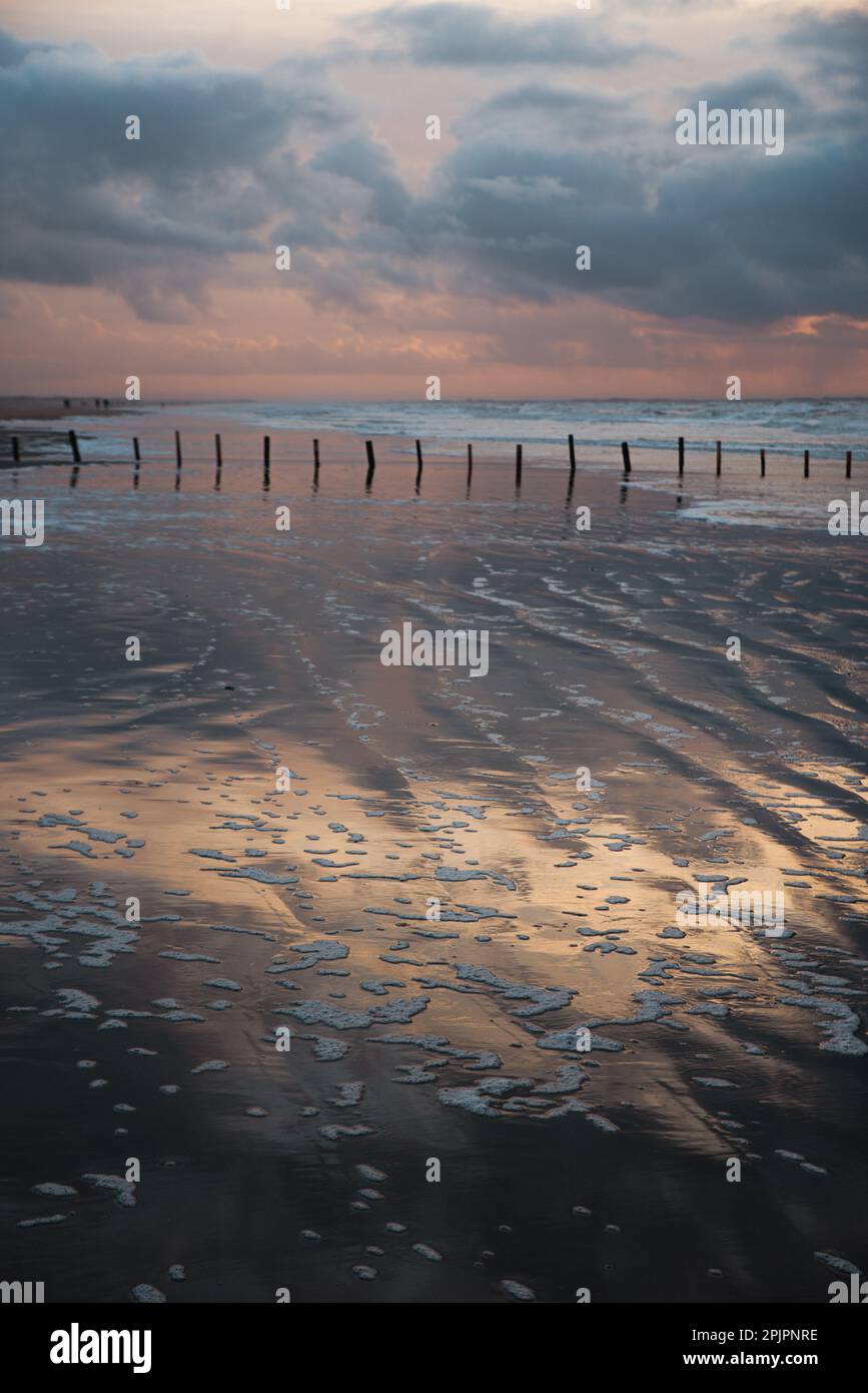 Wadden sea at low tide, North sea beach landscape, coast on Romo island ...