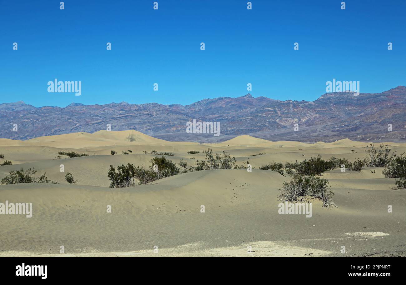 Mesquite Flat Sand Dunes - Death Valley National Park, California Stock ...
