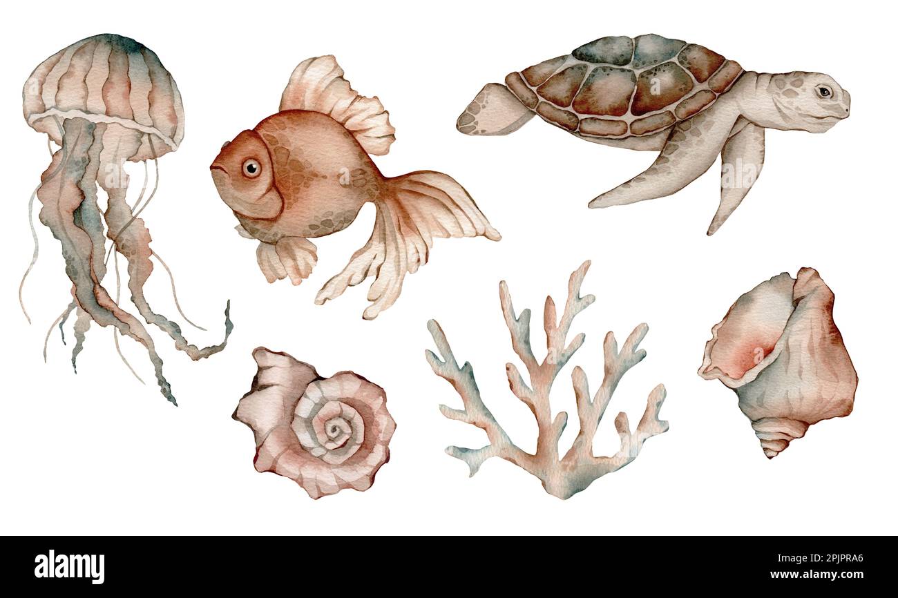 Set of sea animals poster. Blue, greeen, brown watercolor ocean ...