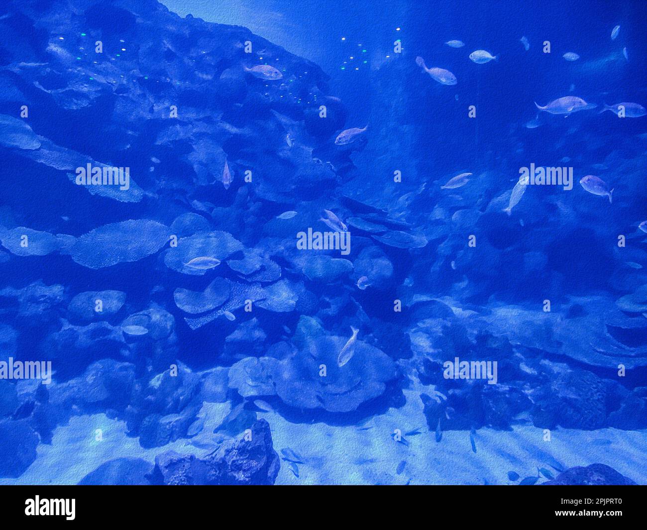 Elegant aqua hi-res stock photography and images - Alamy