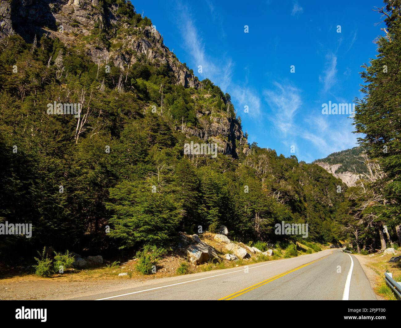 Road of Seven Lakes on the Ruta 40, Neuquén Province, Argentina Stock ...