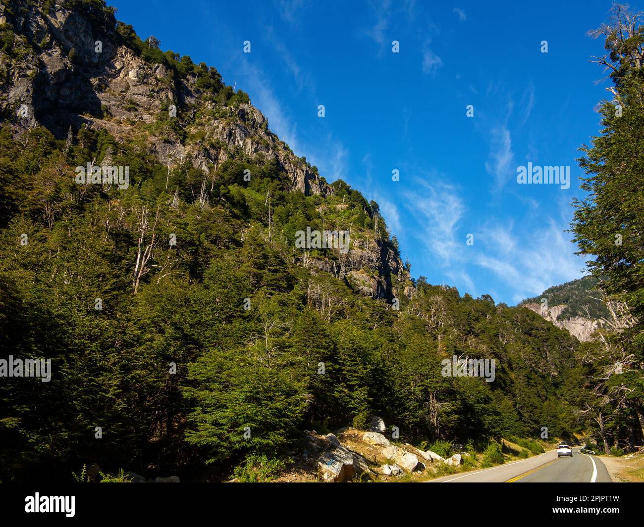 Road of Seven Lakes on the Ruta 40, Neuquén Province, Argentina Stock ...
