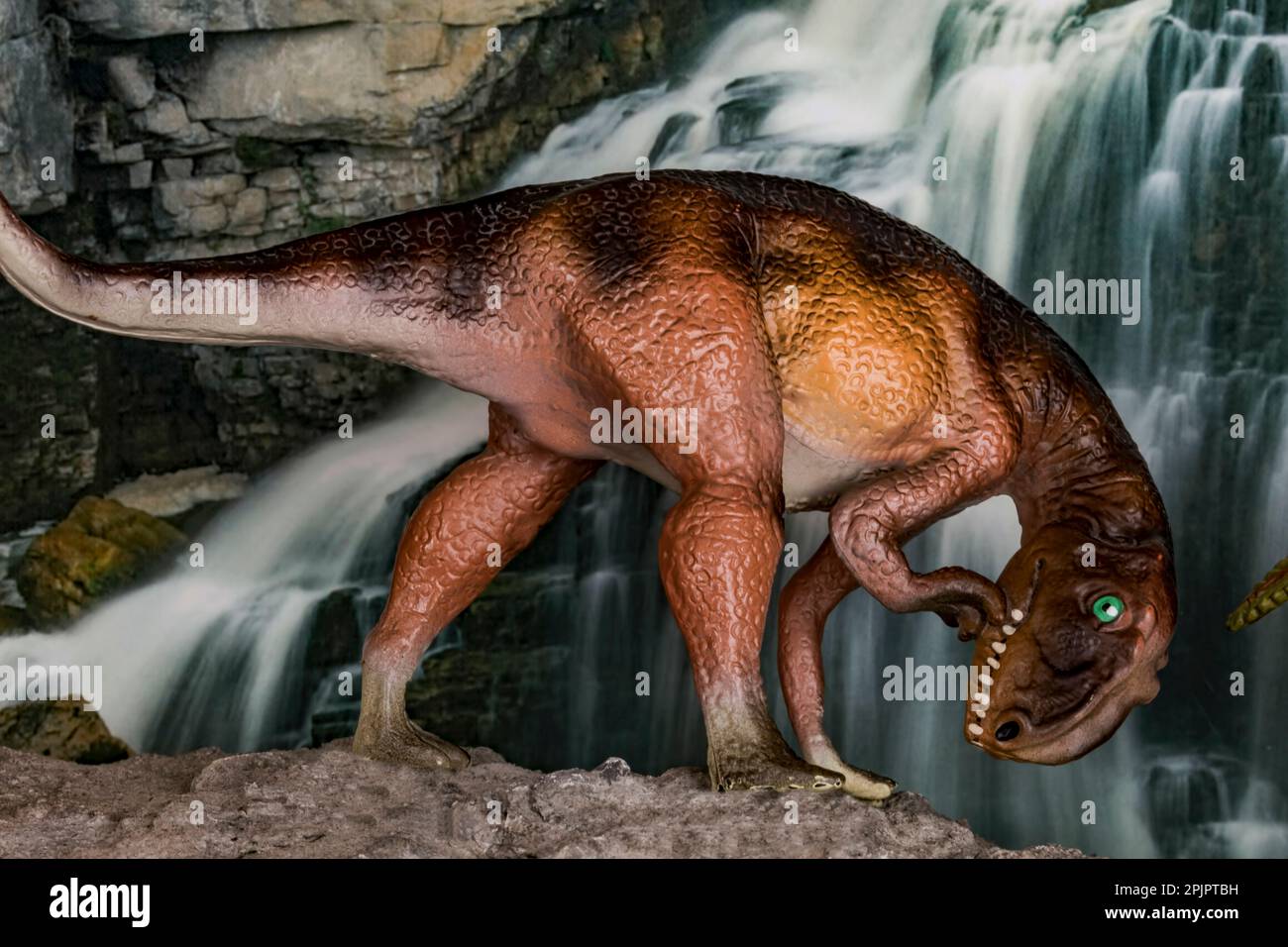 I’ve placed this terrific model (Safari, 1993) against my photo of ...