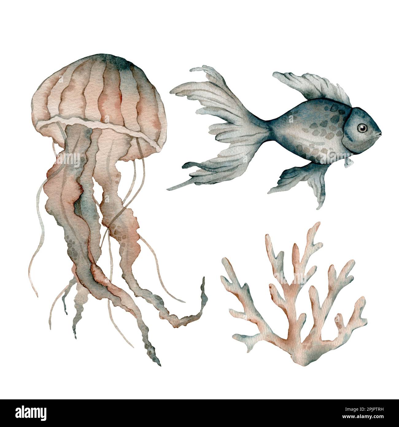 Set of sea animals poster. Blue, greeen, brown watercolor ocean shell ...