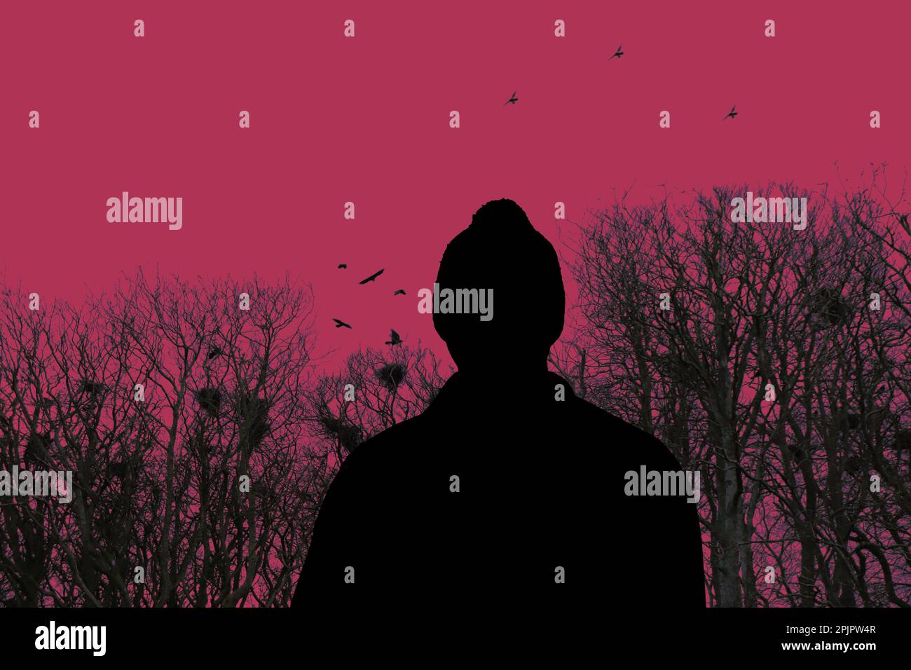 Simple crow design hi-res stock photography and images - Alamy