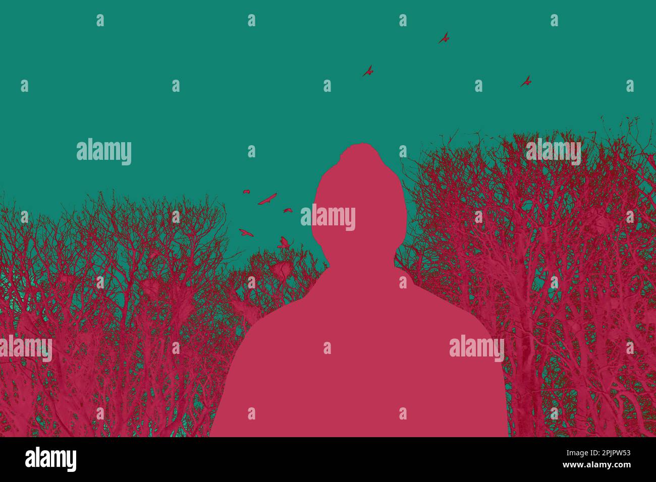 Simple crow design hi-res stock photography and images - Alamy