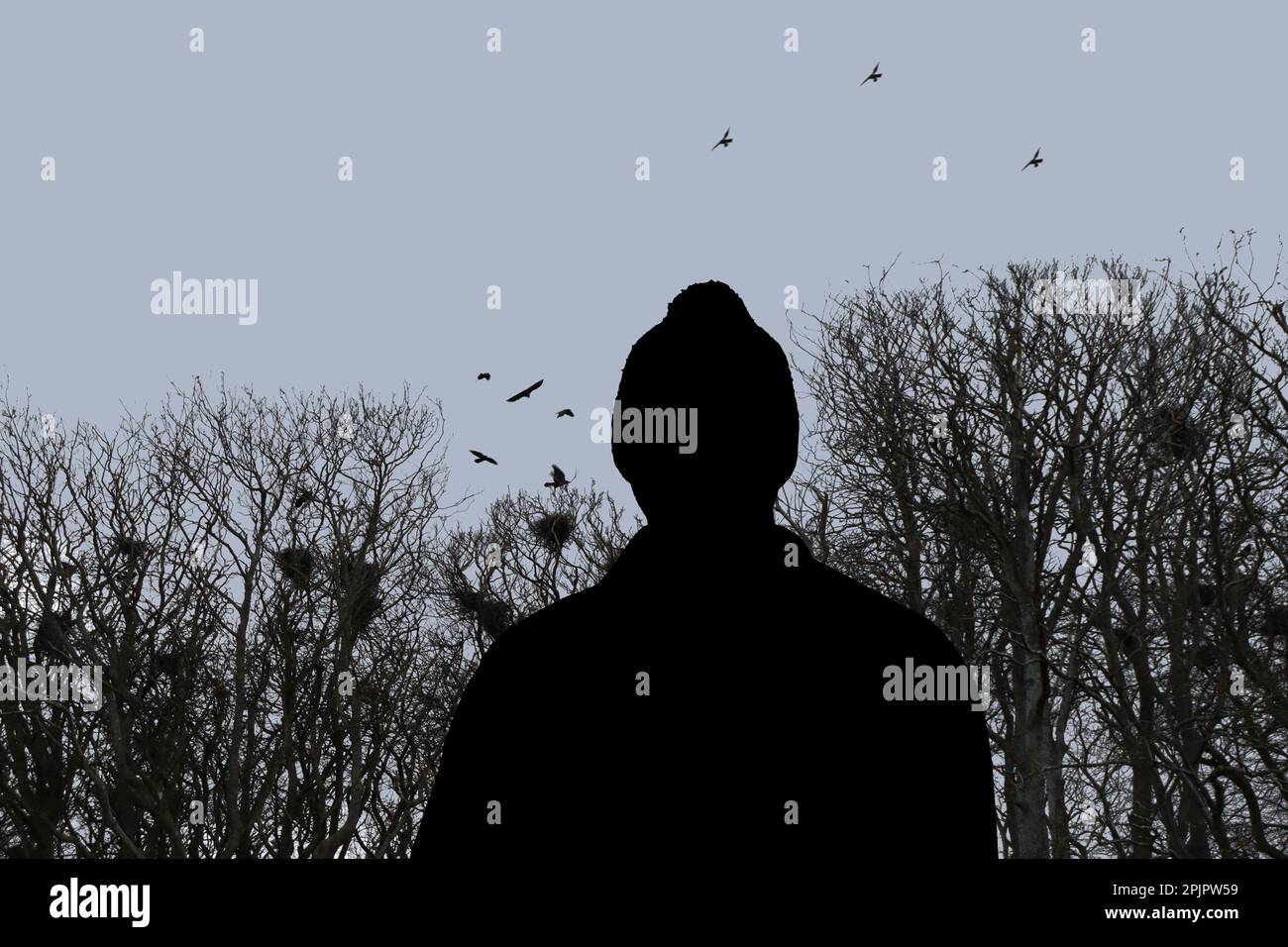 Simple crow design hi-res stock photography and images - Alamy