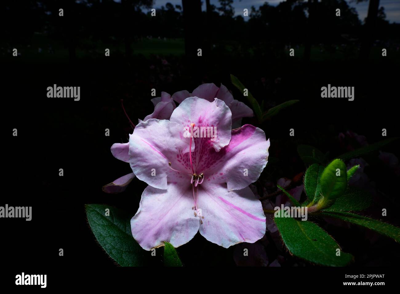 during a practice for the Masters golf tournament at Augusta National ...