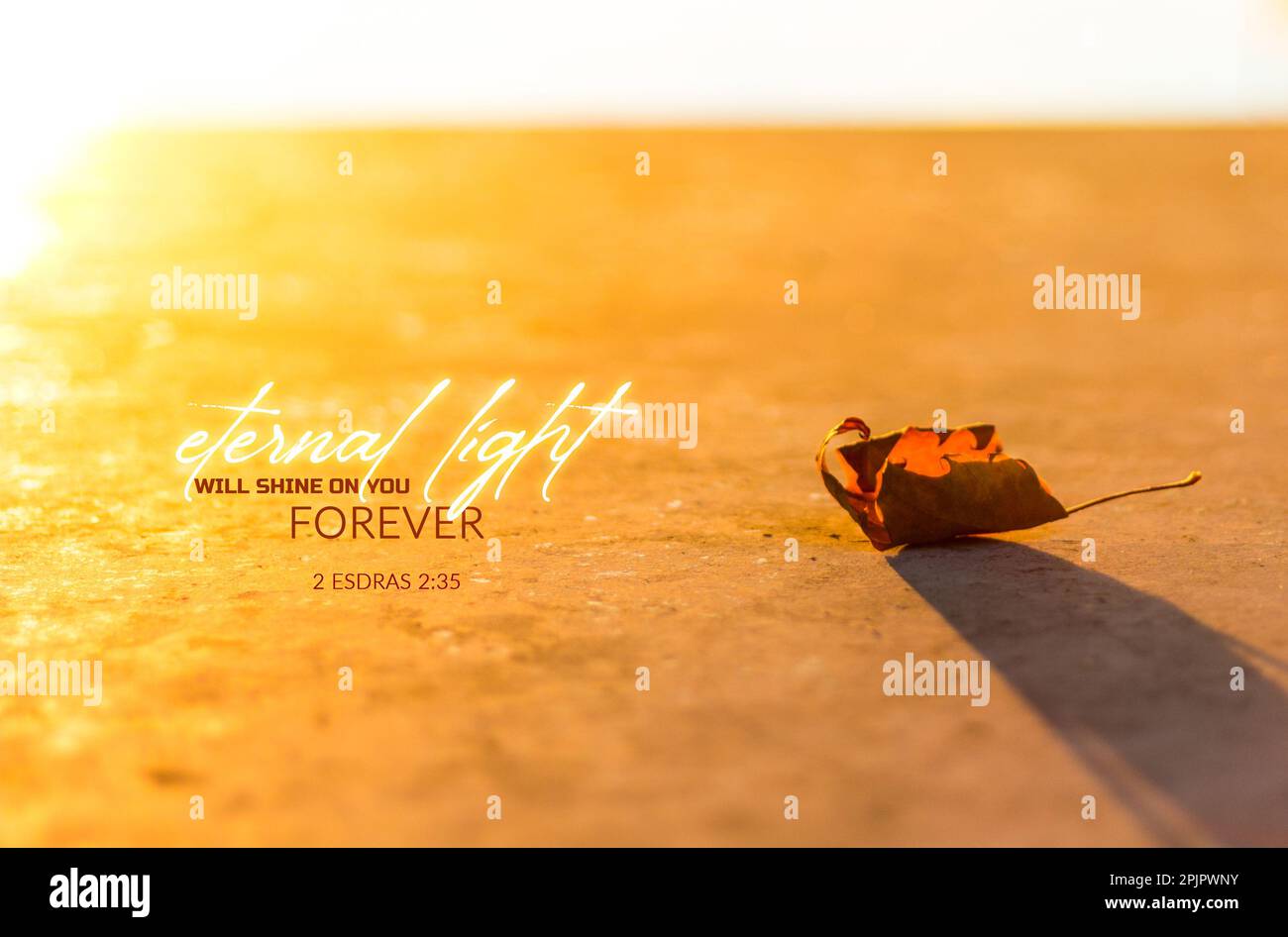 You will shine forever hi-res stock photography and images - Alamy