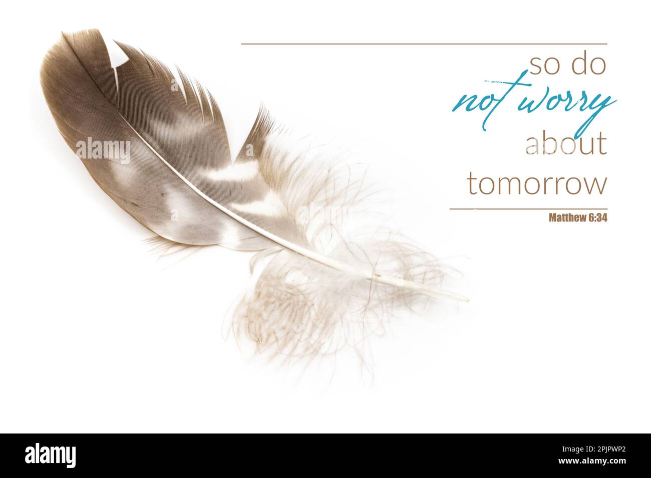 'So do not worry about tomorrow' Bible verse quote. Common buzzard ...