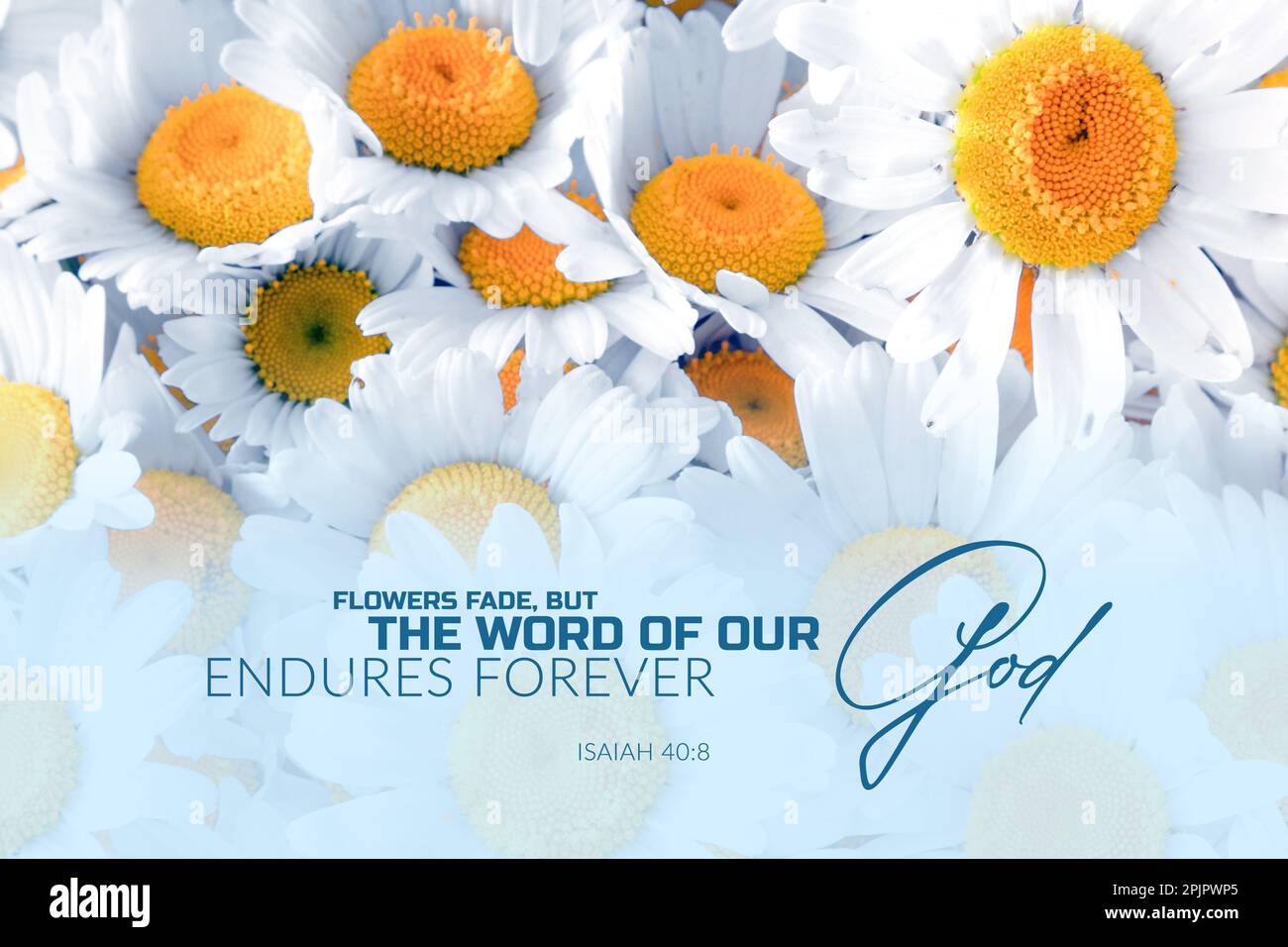 Fade to forever hi-res stock photography and images - Alamy