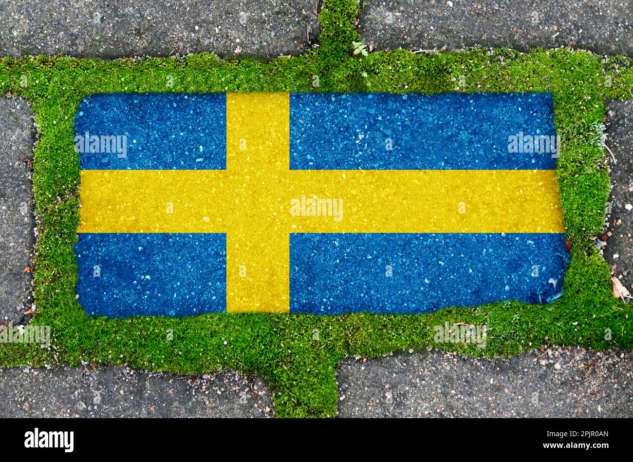 Ecological concept. On the sidewalk in green moss, paving slabs with ...