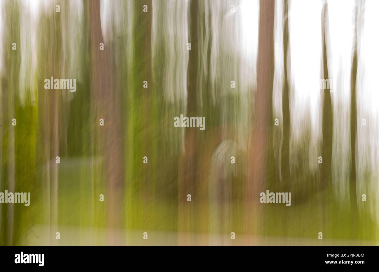 Beautiful images on screen create hi-res stock photography and images ...