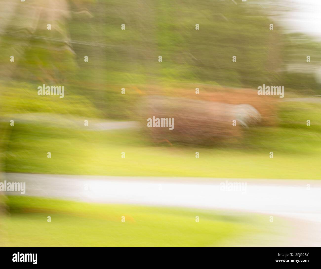 CM Photography - Intentional Camera Movement Photography, Blurring the ...