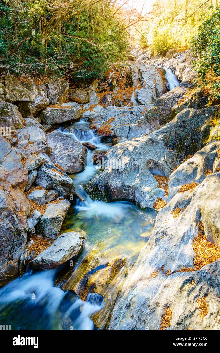 Rocky mountain stream in Pisgah National Forest, North Carolina Stock ...