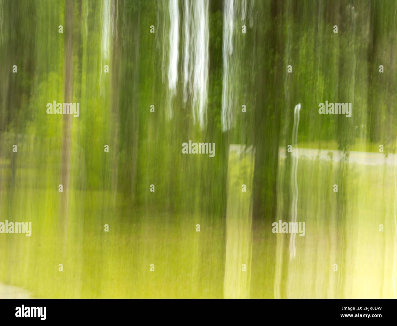 CM Photography - Intentional Camera Movement Photography, Blurring the ...