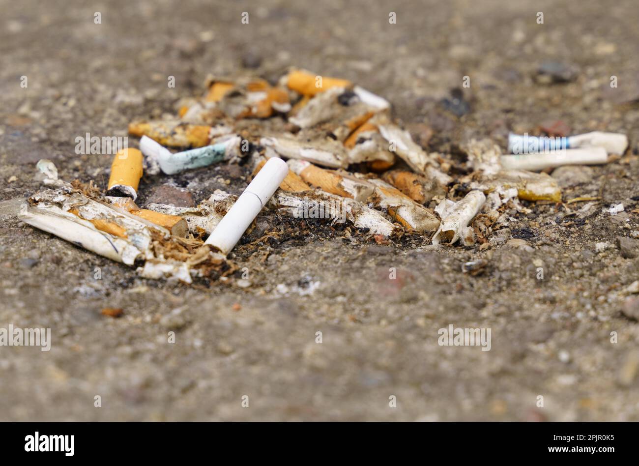 Discarded cigarette butts on the street pollute the environment Stock ...