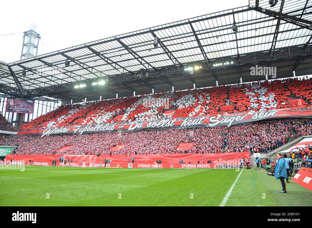 Cologne, North Rhine-Westphalia, Germany. 2nd Apr, 2023. FC Cologne ...