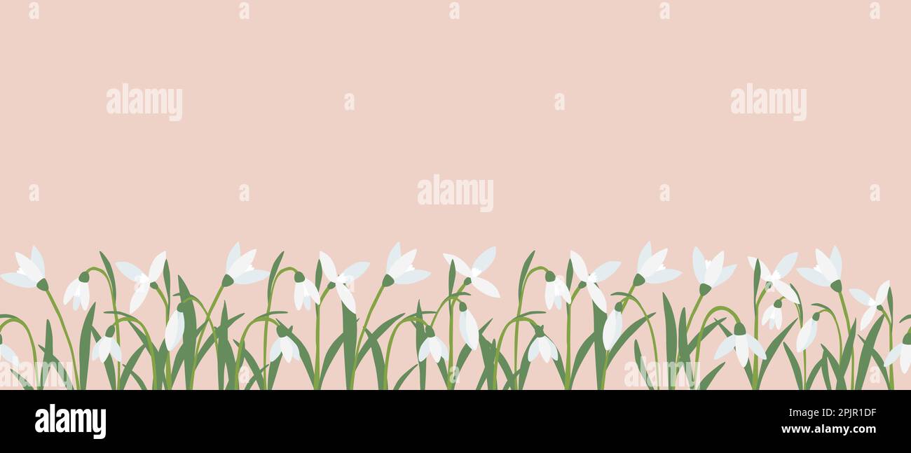 Seamless border with snowdrops spring flowers on pink background ...