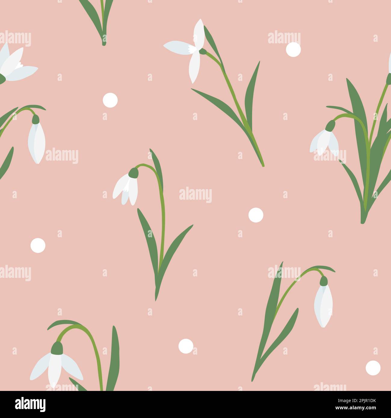 Seamless pattern with snowdrops spring flowers on pink background ...