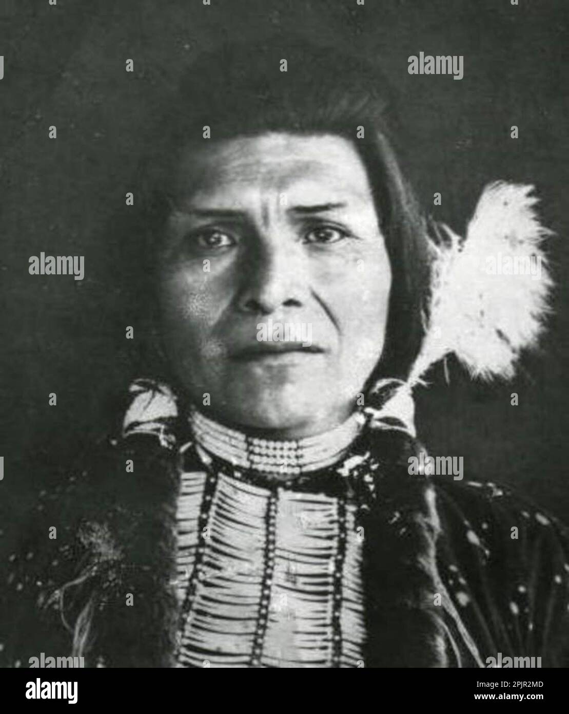 Peo Peo Tholekt (Bird Alighting), a Nez Perce warrior who helped ...