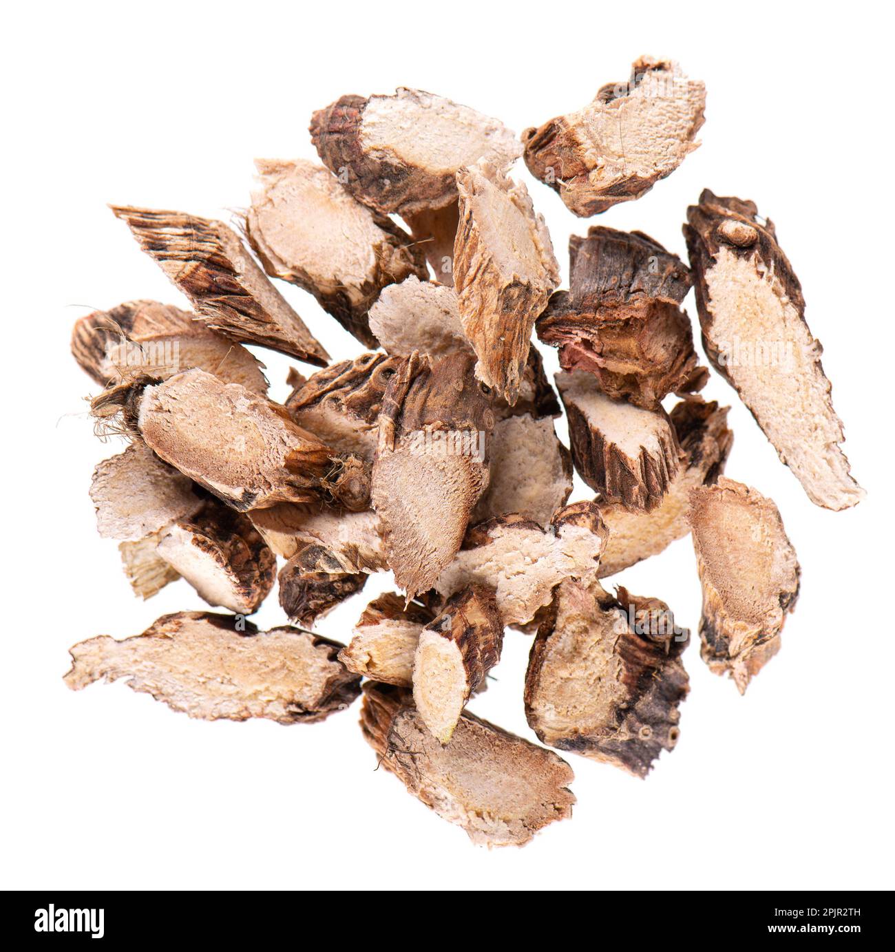 Calamus root isolated on white background. Sweet flag, sway or muskrat ...