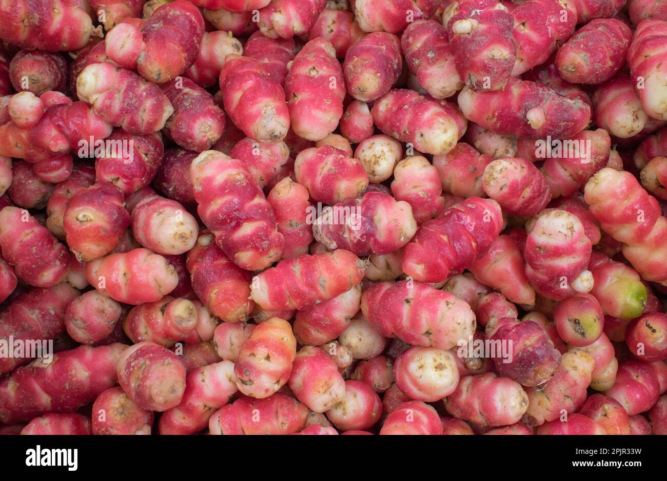 Oca of peru hi-res stock photography and images - Alamy