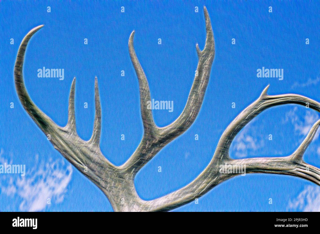 Blue reindeer hi-res stock photography and images - Alamy