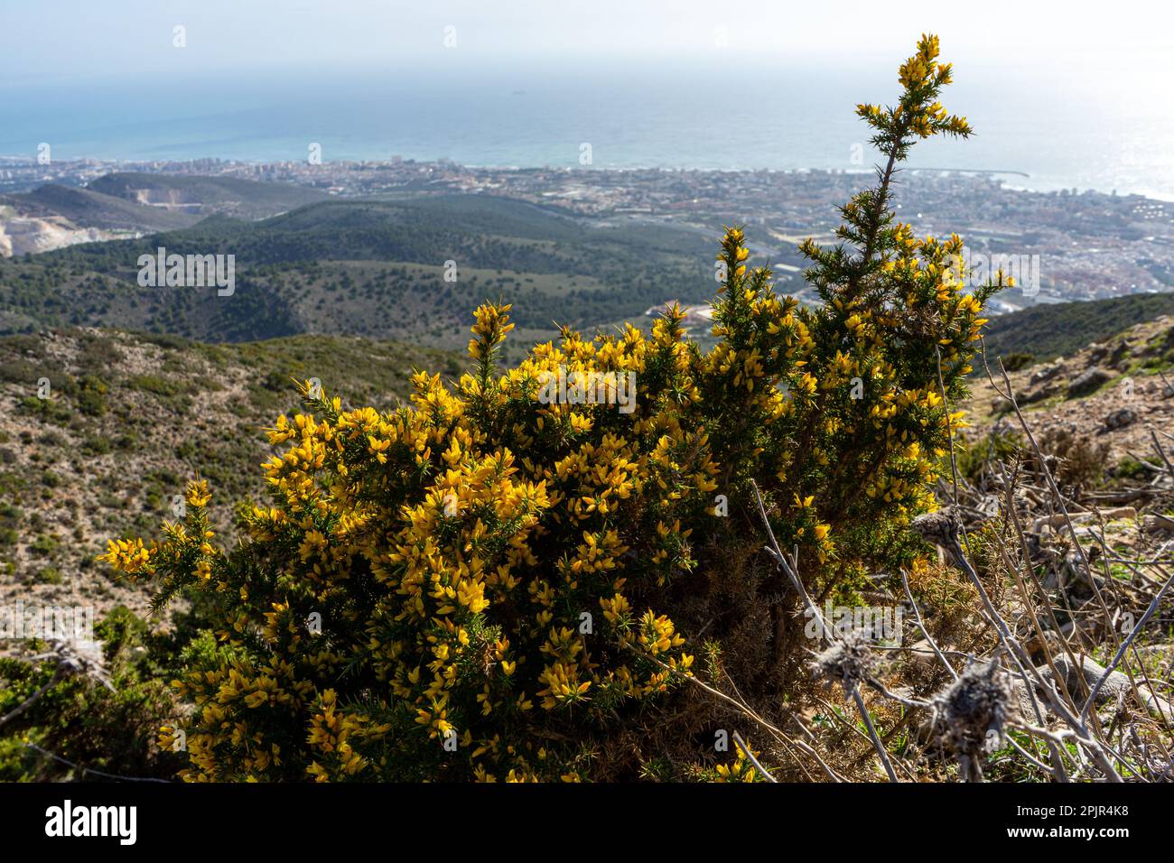 Road to mount Calamorro, near Malaga in the Costa del Sol in Spain ...