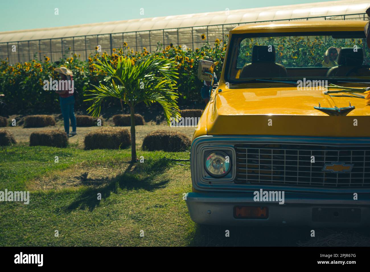 Truck natural light hi-res stock photography and images - Alamy