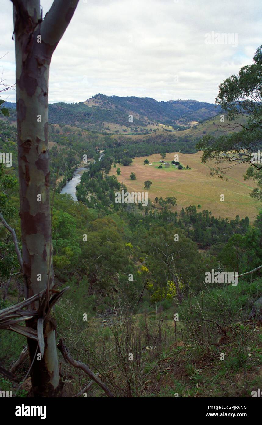 Bullio hi-res stock photography and images - Alamy