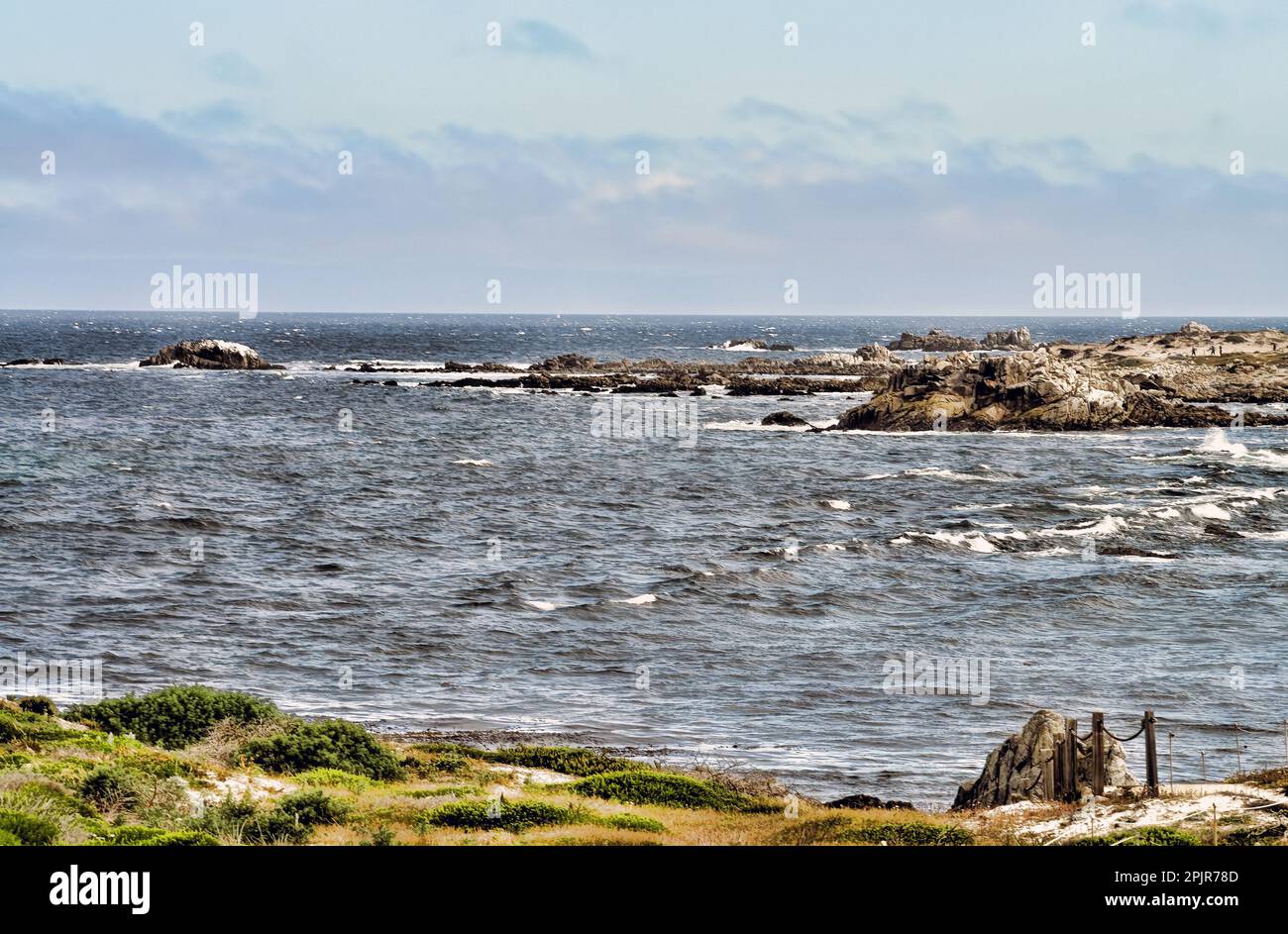 Pacific Ocean Asilomar State Marine Reserve Monterey California Stock ...