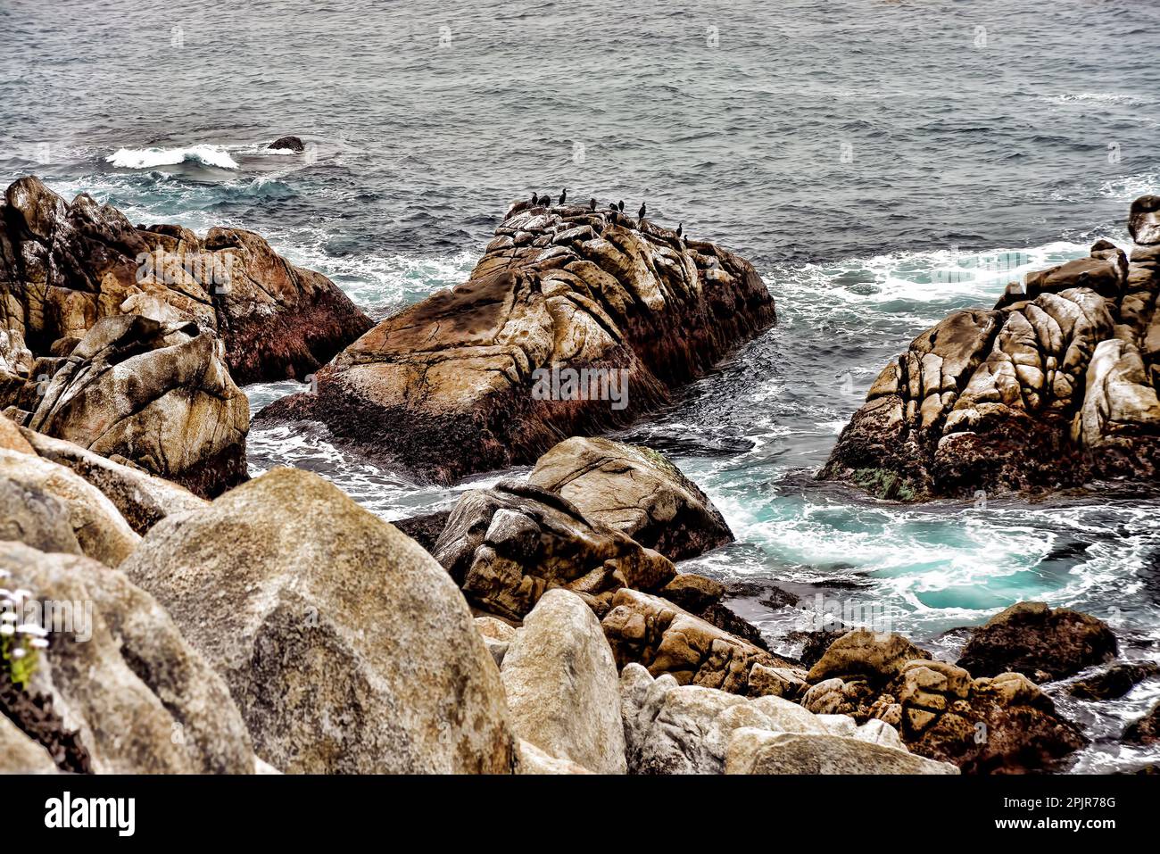 Pacific Ocean Asilomar State Marine Reserve Monterey California Stock ...