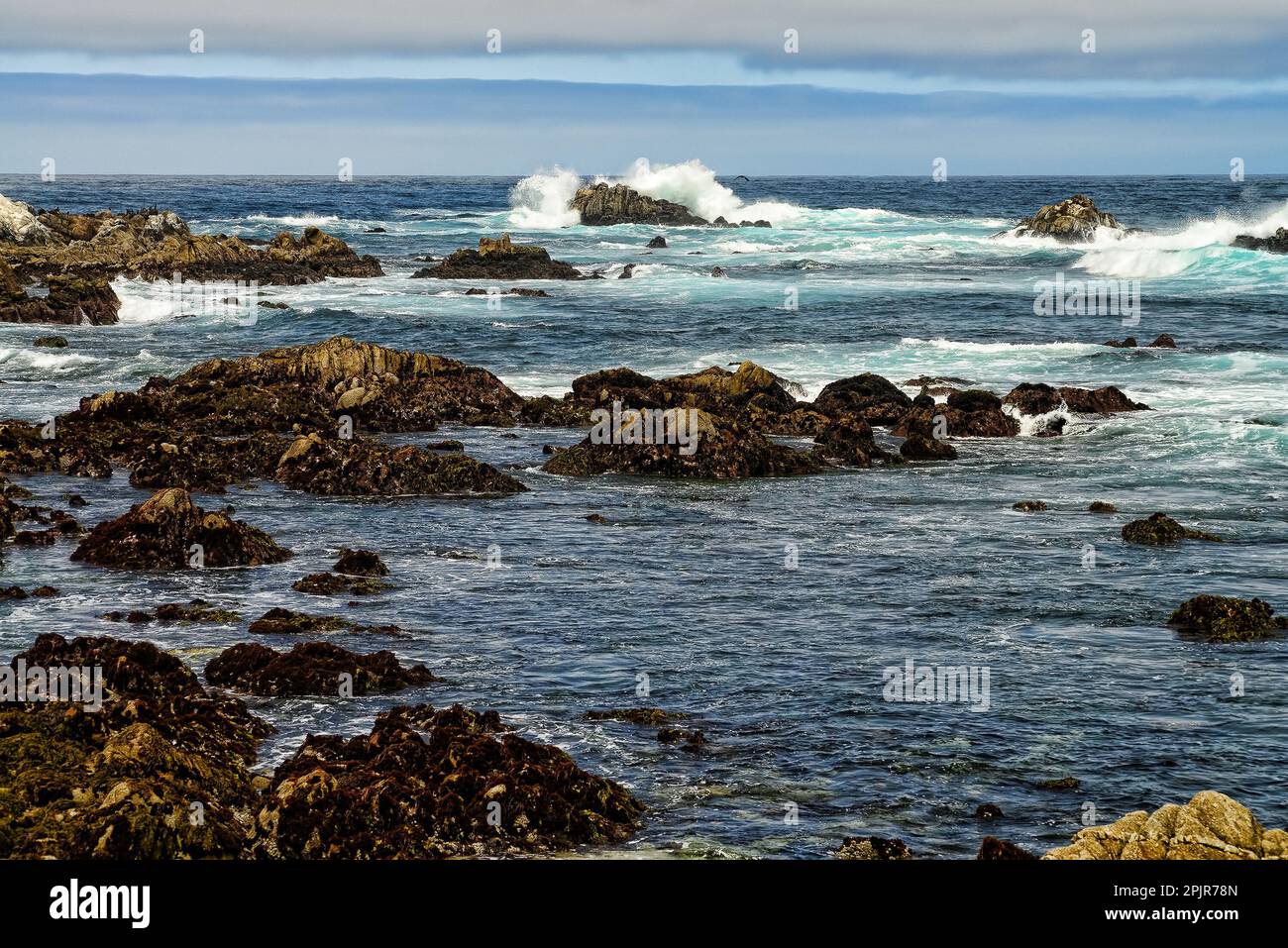 Pacific Ocean Asilomar State Marine Reserve Monterey California Stock ...