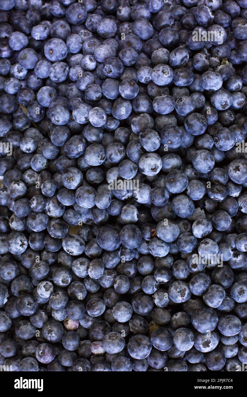 Box full of fresh just harvested blueberries Fruits and vegetables from ...