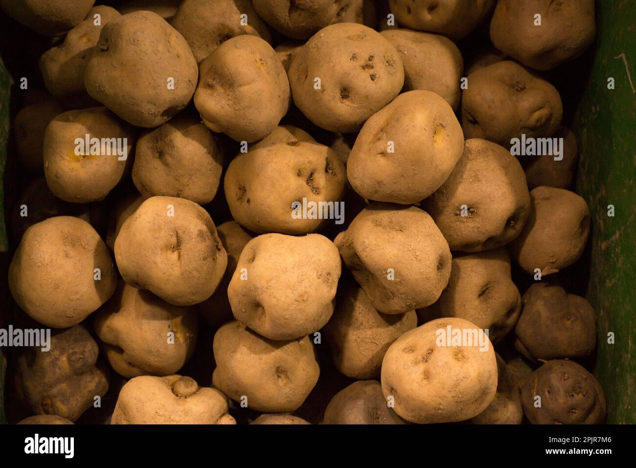 Potatoes harvest peru hi-res stock photography and images - Alamy