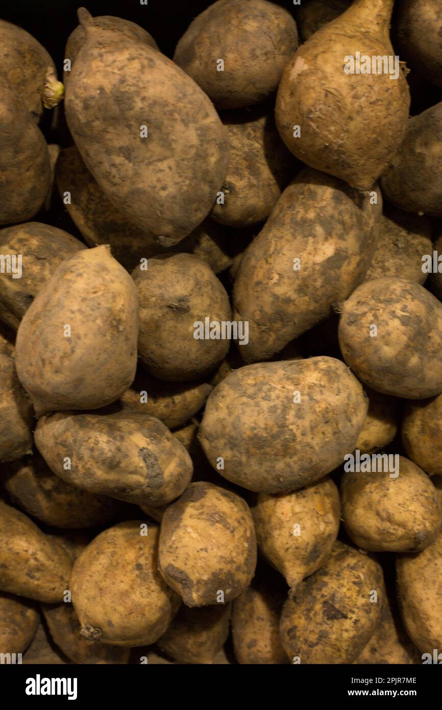 Sweet potatoes tuber Fruits and vegetables from Peru Stock Photo - Alamy