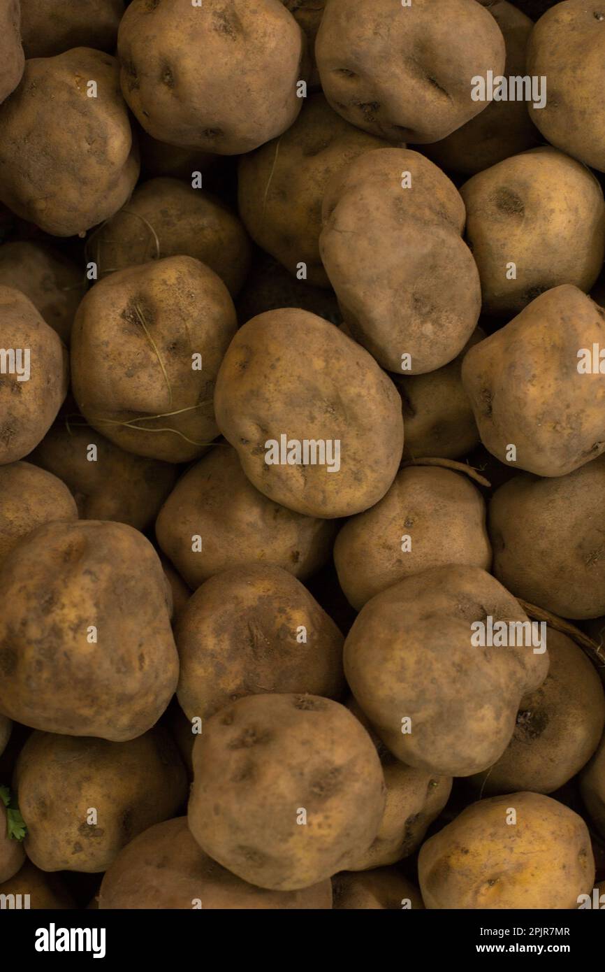 Assorted types of peruvian potatoes Fruits and vegetables from Peru ...